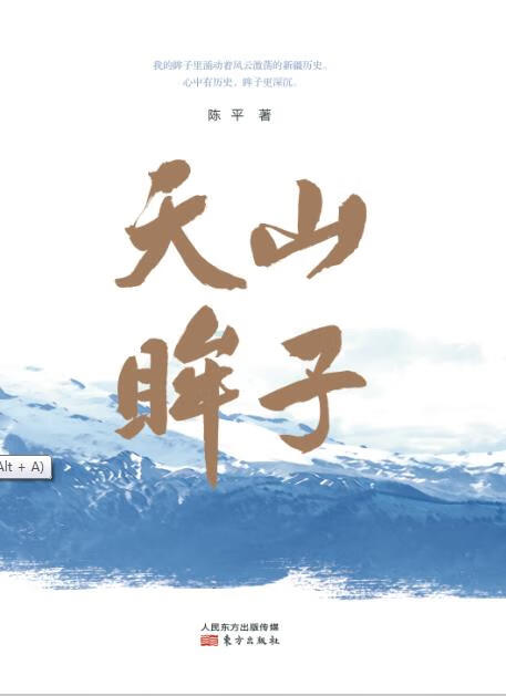 【现货】天山眸子陈平 北方图书城