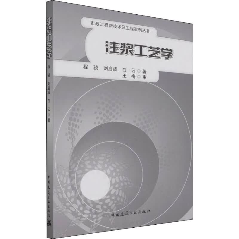 注浆工艺学 程骁,刘启成,白云  书籍