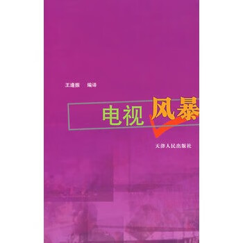 电视风暴 王逢振编译