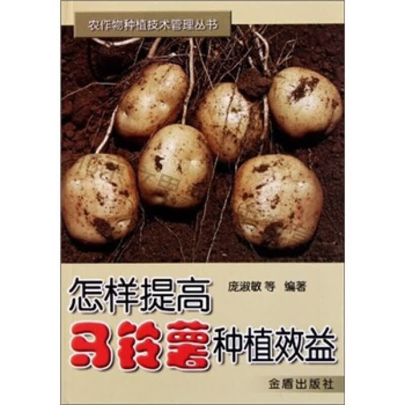 上新 怎样提高马铃薯种植效益