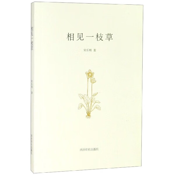 相见一枝草