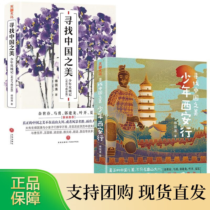 套装2本 寻找中国之美 少年双城记 北京南京+少年西安行 兵马俑华清池大雁塔陕西历史博物馆庆宫公园明城墙 景点 儿童文学