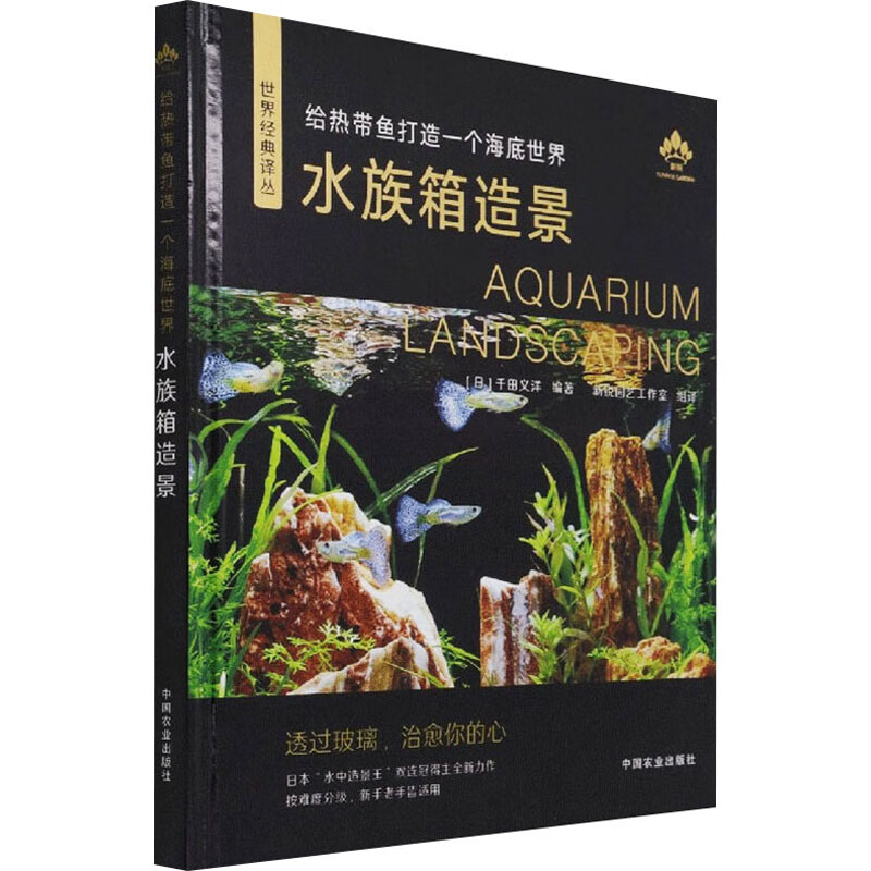 给热带鱼打造一个海底世界 水族箱造景