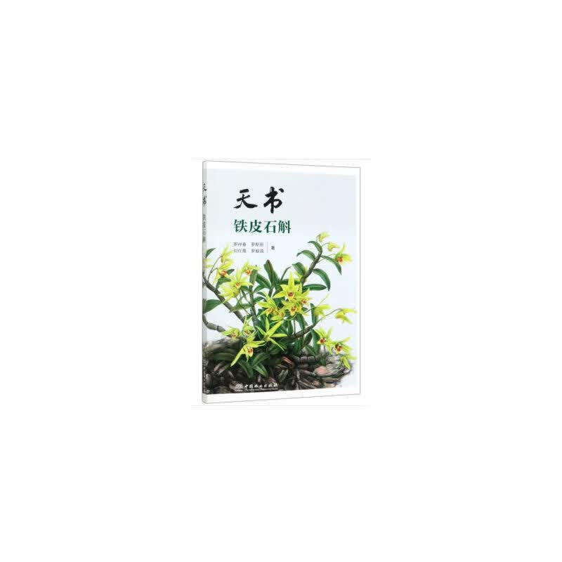 天书铁皮石斛