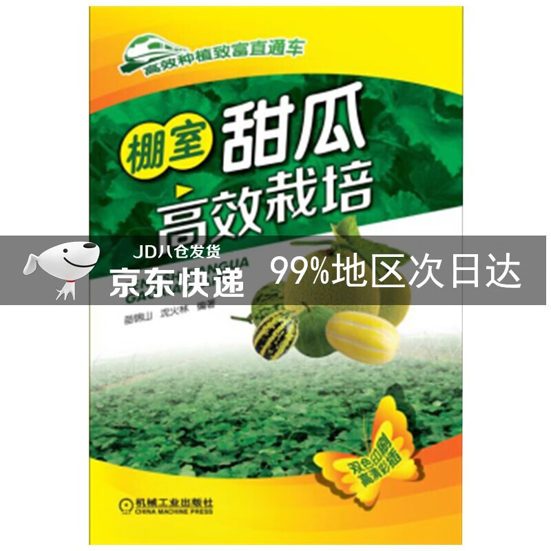 棚室甜瓜高效栽培