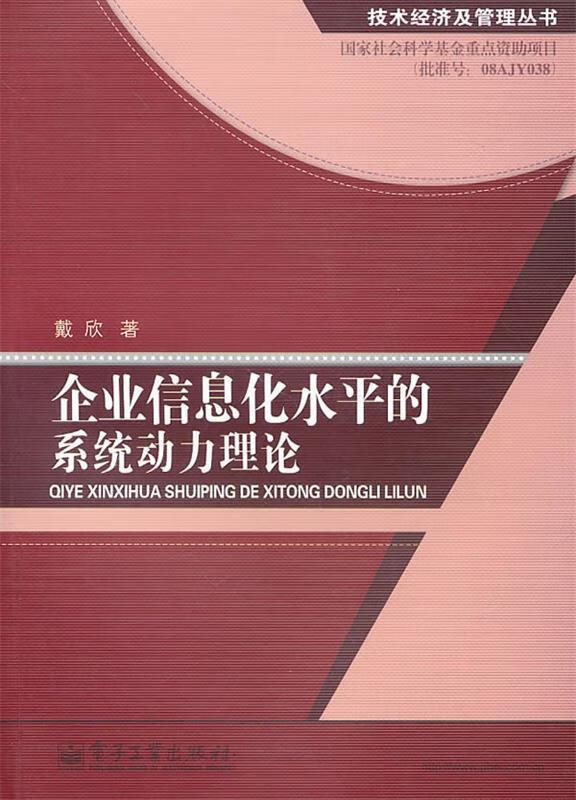 企业信息化水平的系统动力理论