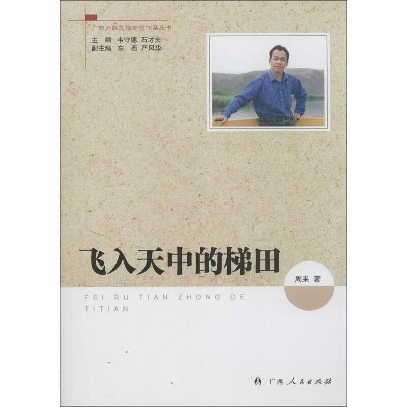 飞入天中的梯田