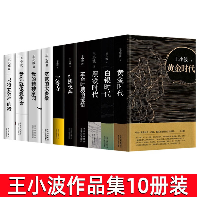 【包邮速发】王小波时代三部曲无删减黄金时代+白银时代+黑铁时代全集王小波的书黄金时代三部曲文学小说现当代文学书籍北京十月文艺出版社 王小波10册 1
