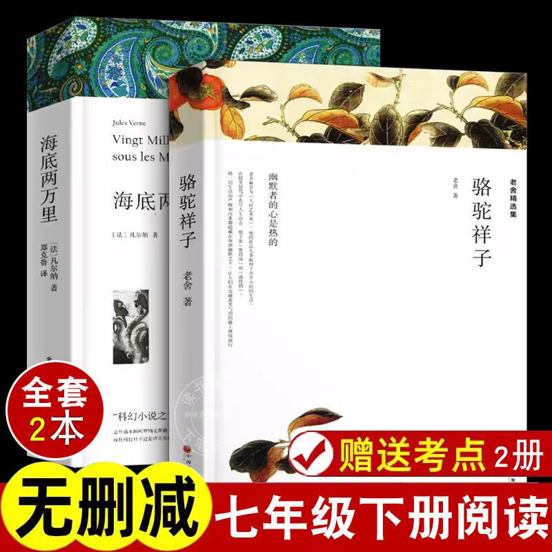 全套10册朝花夕拾鲁迅西游记海底两万里童年初中生课外阅读书完整钢铁是怎样炼成的简爱骆驼祥子猎人笔记 七年级下册
