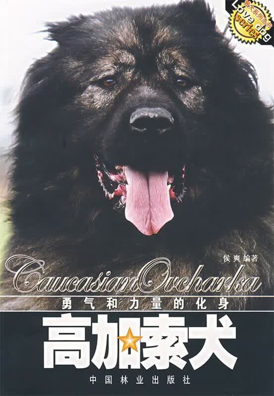 勇气和力量的化身:高加索犬
