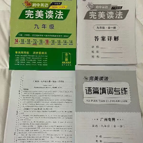 2022 完美读法七八九年级广州专版同步专项广东专版基础版提升篇 九年级全一册（广州专用）