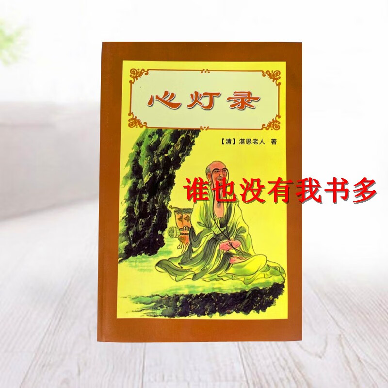 心灯录(清)湛愚老人著32开简体横排寺院 排寺院
