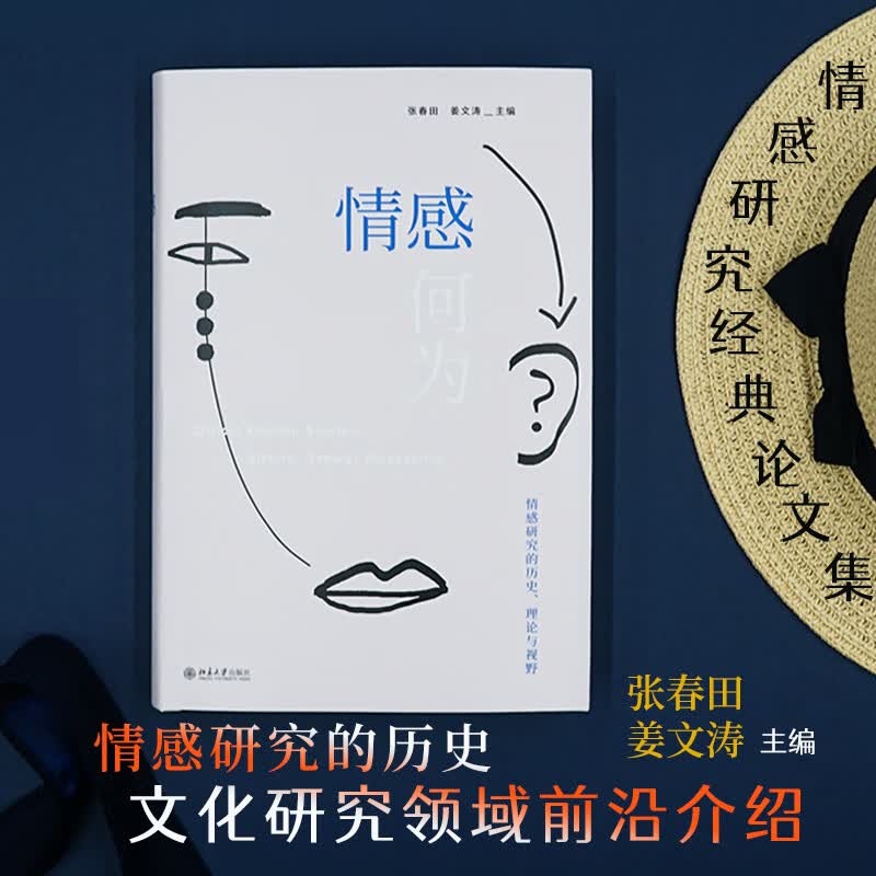 情感何为：情感研究的历史、理论与视野 张春田等著