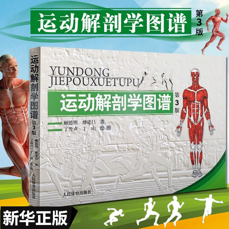 运动解剖学图谱(第3版) 健身教练书籍医学彩色图谱肌肉健美训练图解 湖北