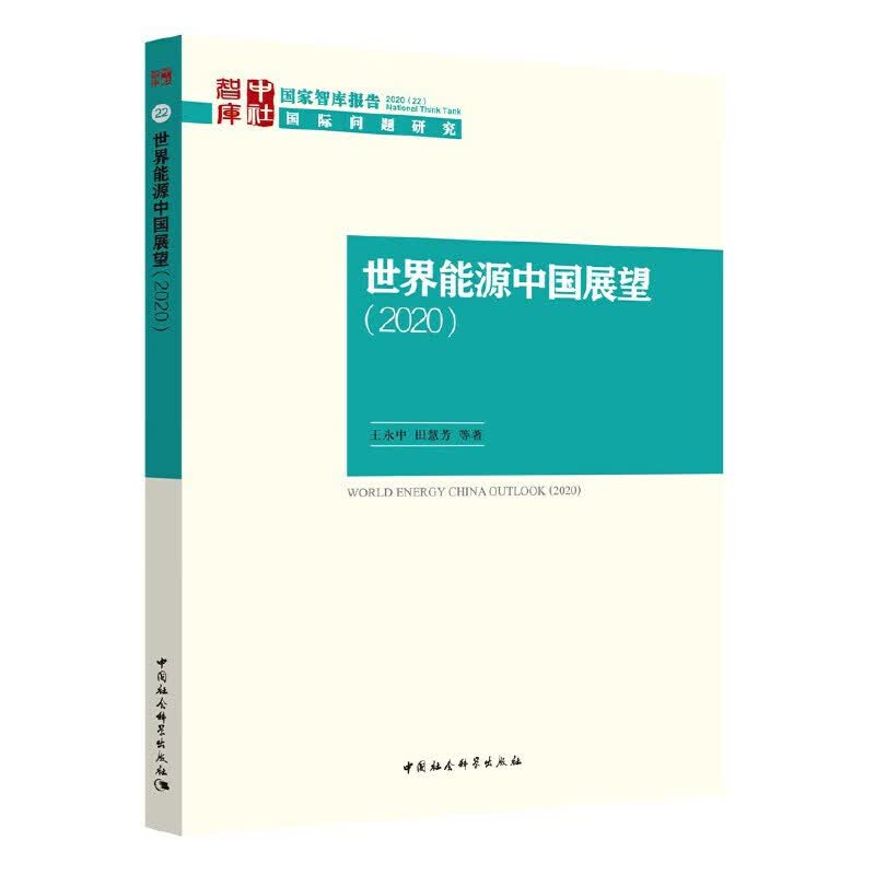世界能源中国展望-（（2020））