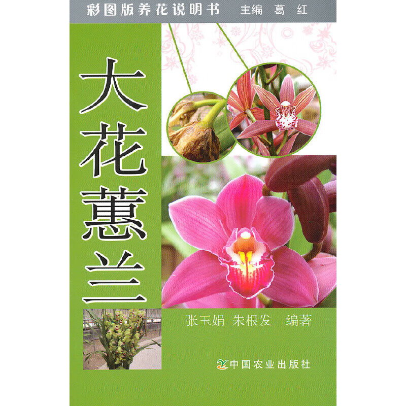 大花蕙兰（彩图版养花说明书）