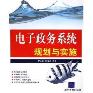 电子政务系统规划实施
