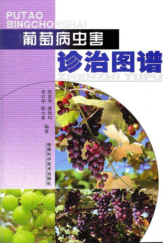 葡萄病虫害诊治图谱