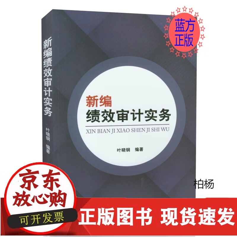 速发 新编绩效审计实务叶晓钢编中国时代经济出版社