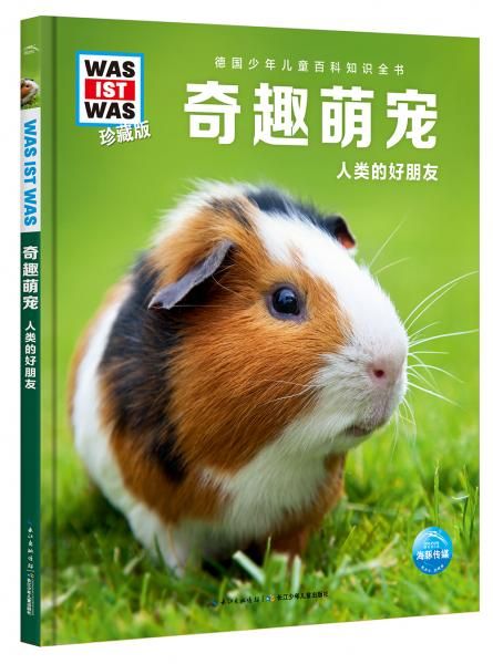 奇趣萌宠人类的好朋友