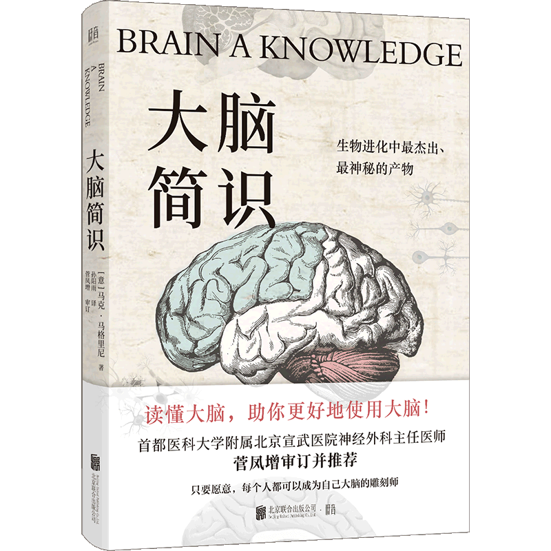 大脑简识(精)