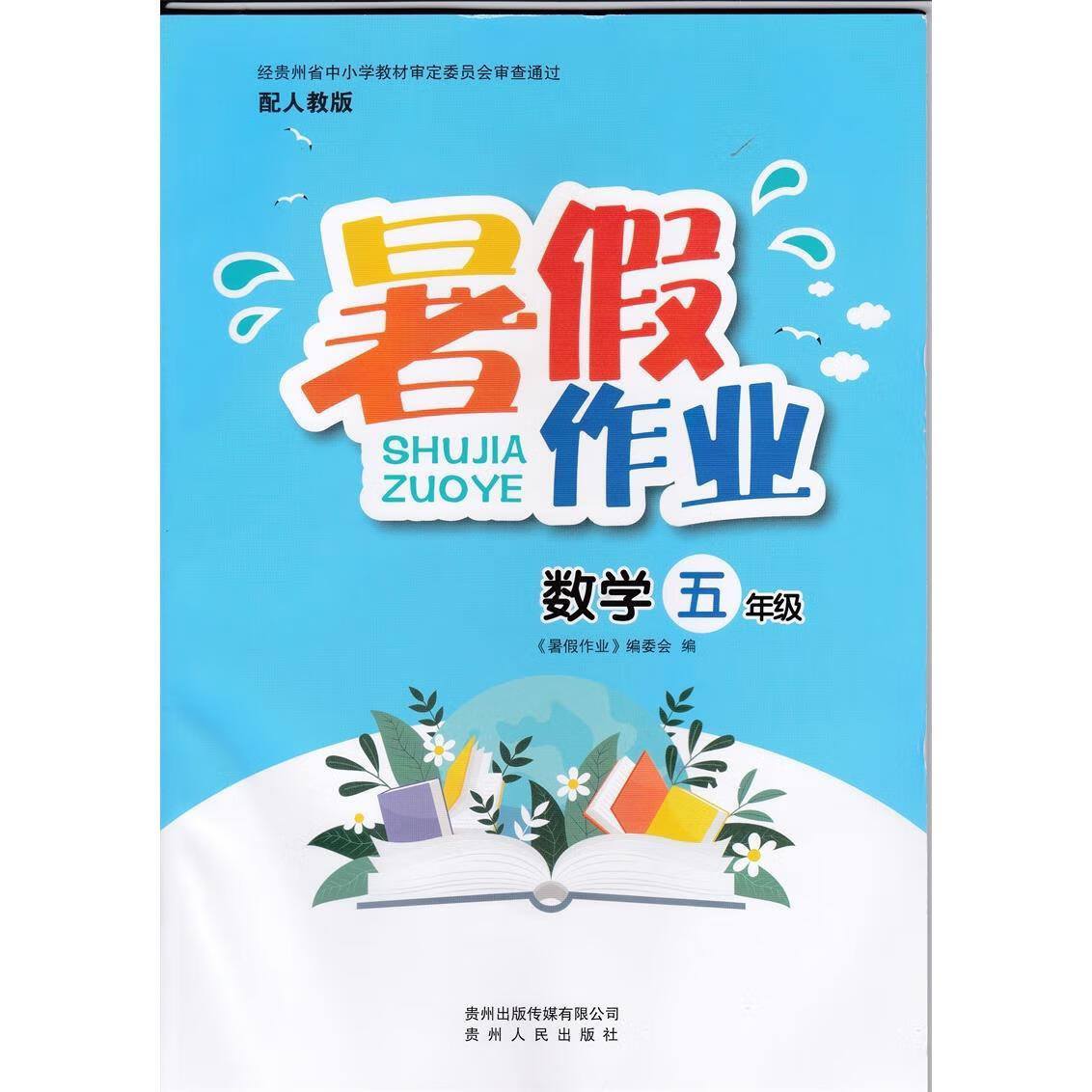 2023年贵州暑假作业数学五年级暑假作业人教版五年级暑假 数学 2023年贵州暑假作业五年级