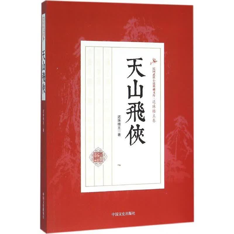天山飞侠