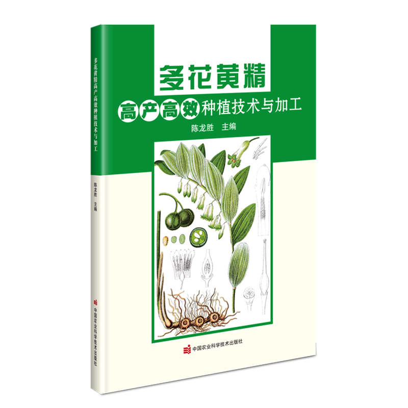 多花黄精高产高效种植技术与加工