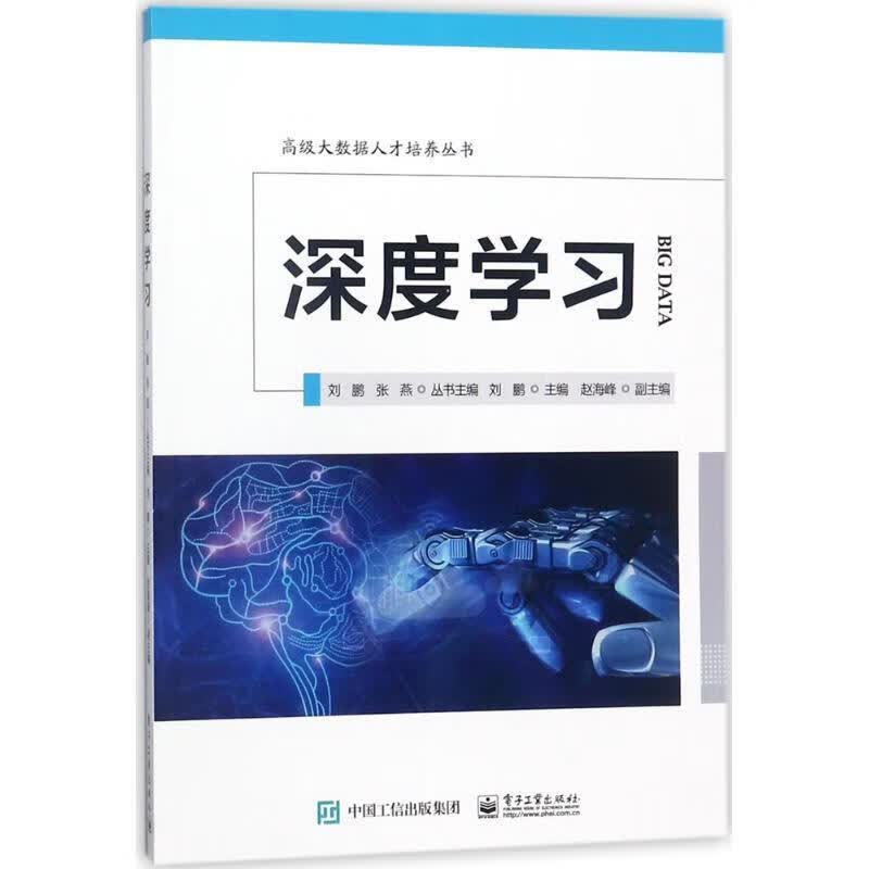 深度学习 刘鹏 著 电子工业出版社