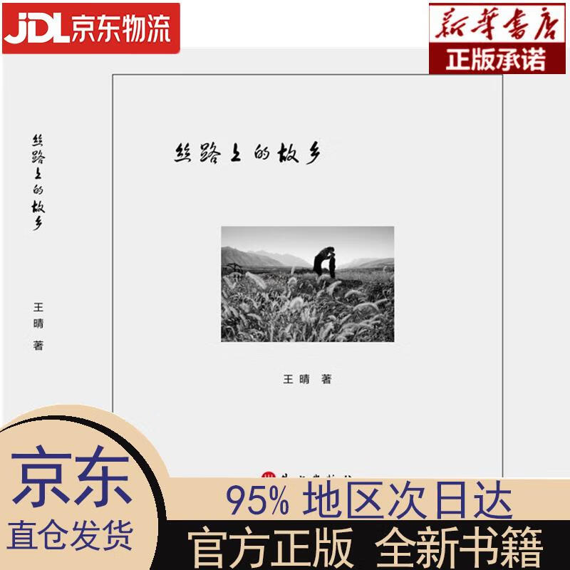 丝路上的故乡 王晴 外文出版社 王晴 著 外文出版社