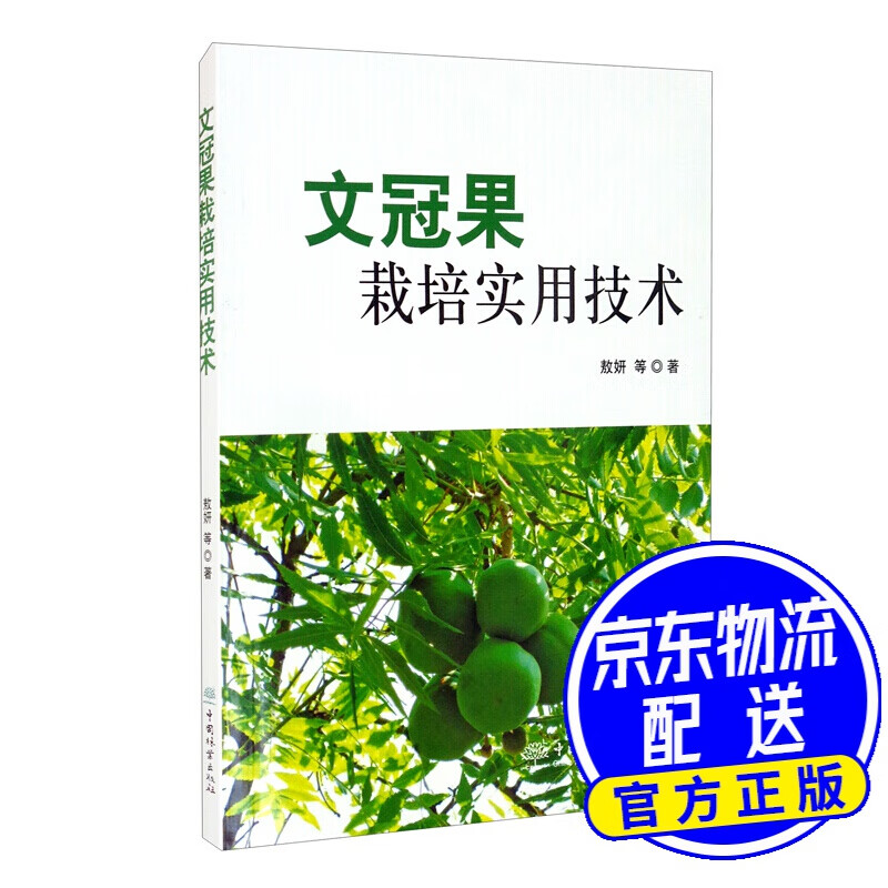 文冠果栽培实用技术