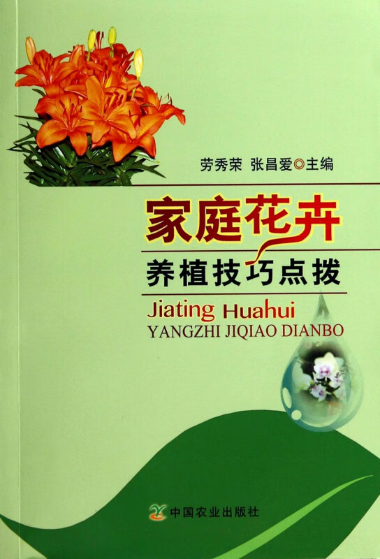 家庭花卉养植技巧点拨