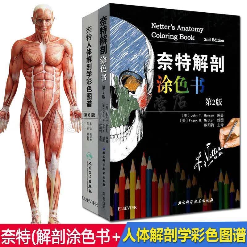 奈特人体神经解剖彩色图谱