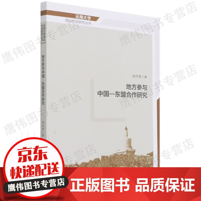 地方参与中国—东盟合作研究