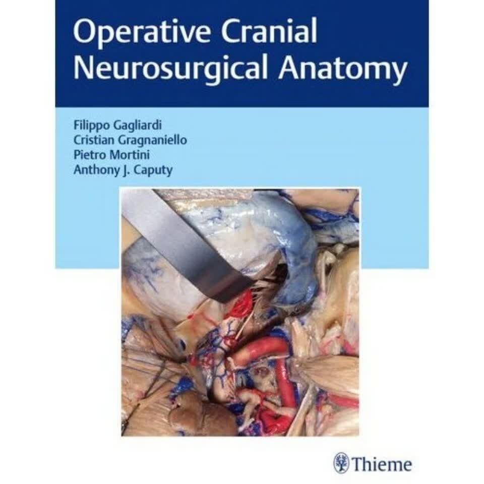 全彩实体 Operative cranial neurosurgical anatomy 现货