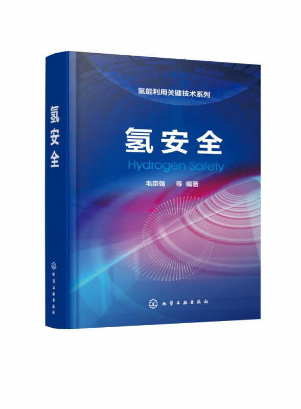 氢安全(精)/氢能利用关键技术系列