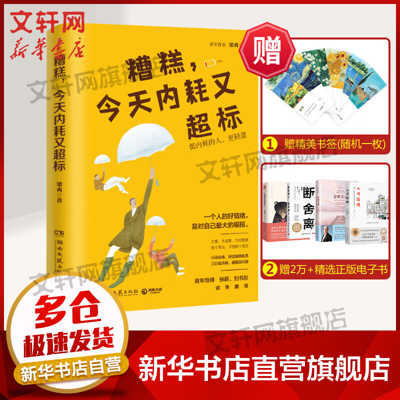【现货】糟糕,今天内耗又超标 （人气心理励志作家梁爽重磅新作) 励志成长书籍 图书