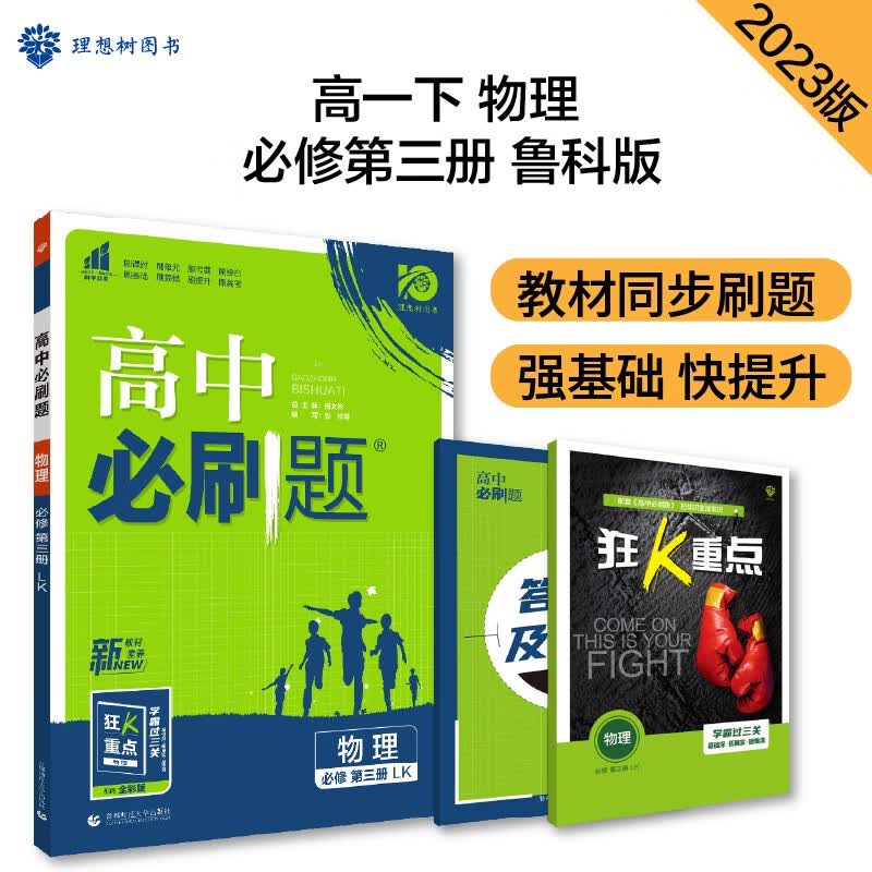 高中必刷题 高一下物理 必修第三册 鲁科LK版 教材同步练习 理想树2023版
