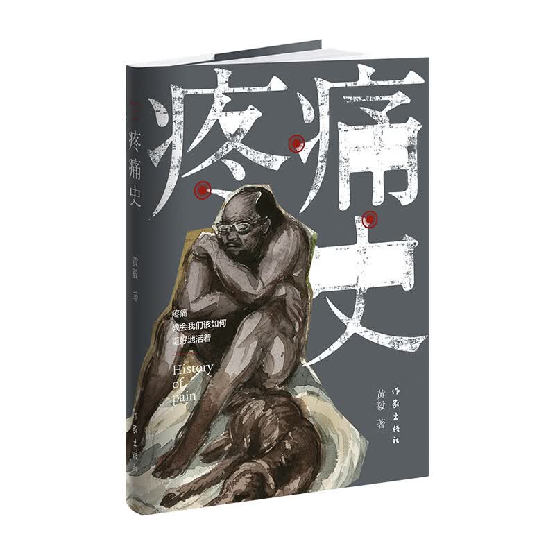 疼痛史 图书