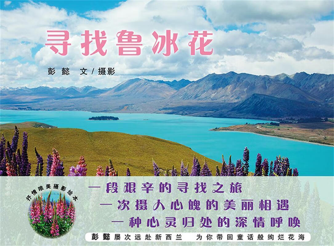 寻找鲁冰花 彭懿【书】