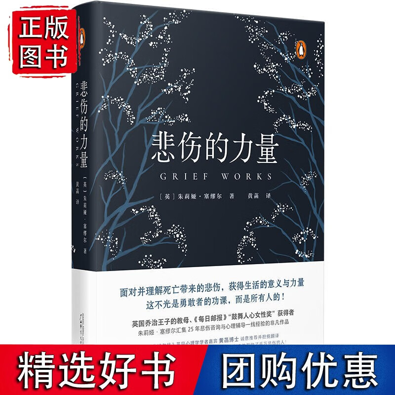 新民说·悲伤的力量