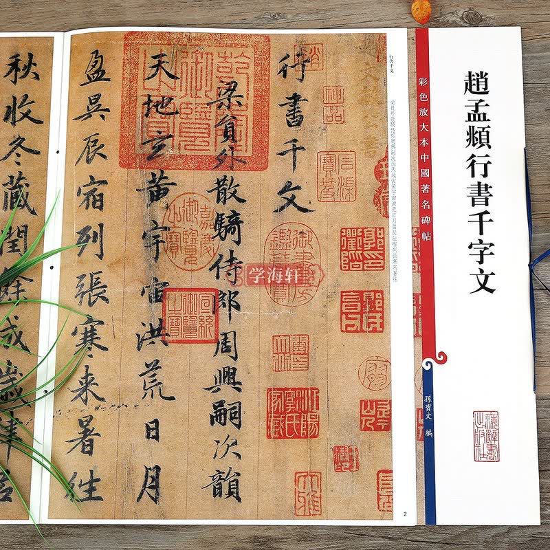 赵孟頫行书千字文 高清彩色放大本中国碑帖 繁体旁注赵体赵孟俯毛笔字帖墨迹临摹孙宝文学海轩 上海辞书