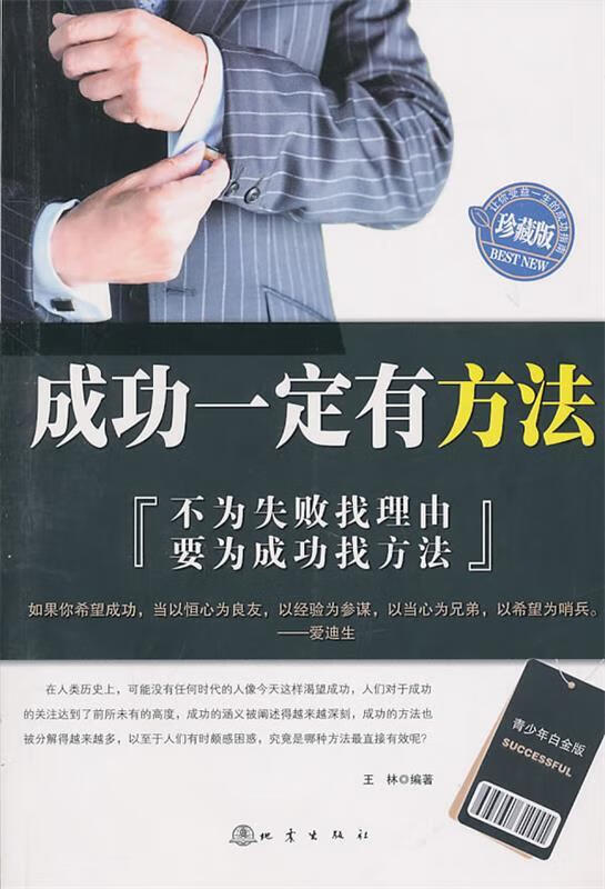 成功一定有方法 王林