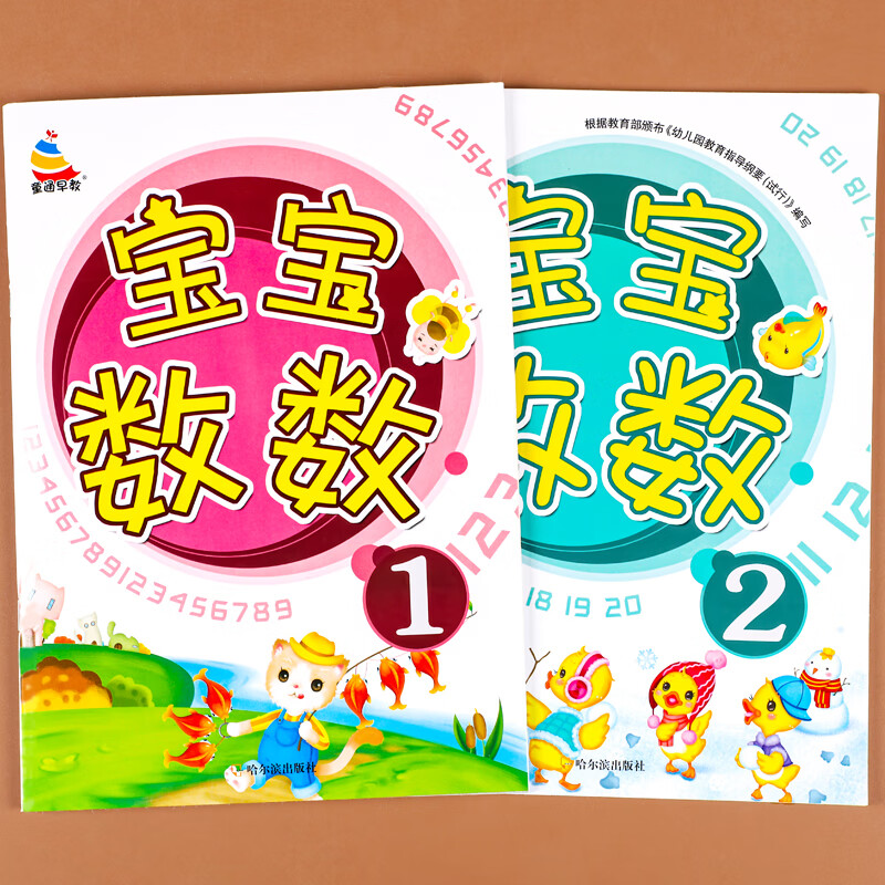 宝宝认数字教材全套2册0-3-6岁儿童看图识数字1-10-20以内数字的认识幼儿园小班中班数数书数学早教启蒙认知绘本幼小衔接趣味识字 【全套4册】数数+识字