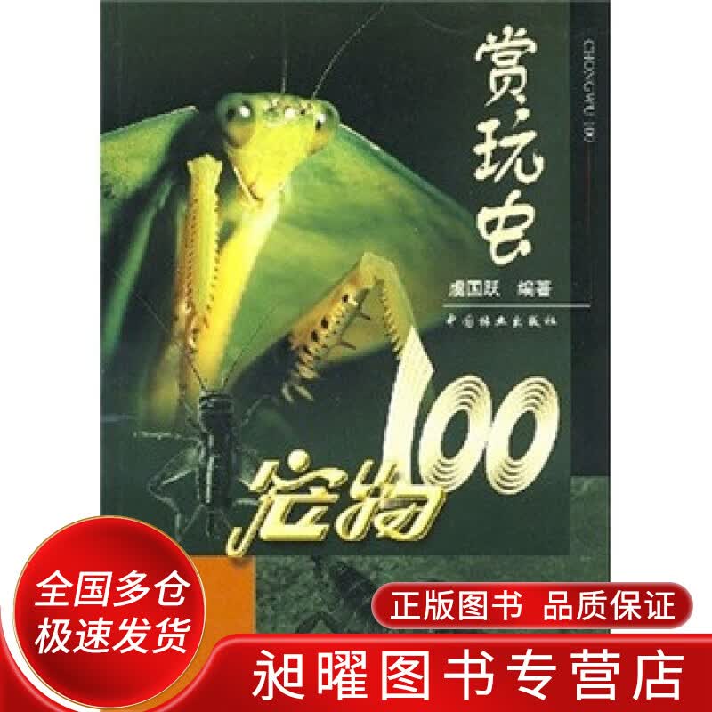 宠物100 赏玩虫【现货】