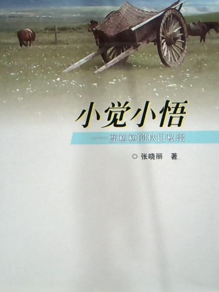 小觉小悟