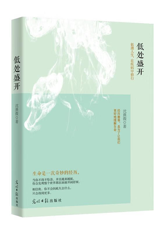 低处盛开 沈熹微