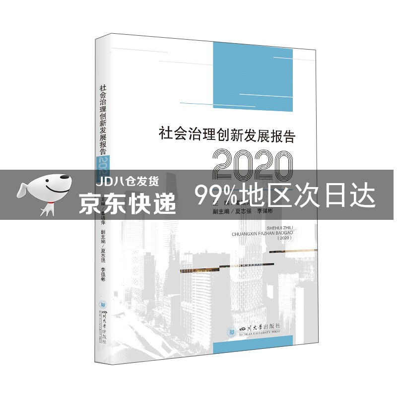 社会治理创新发展报告（2020）