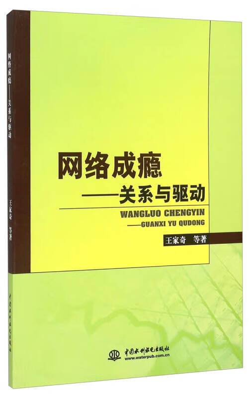 网络成瘾 关系与驱动【好书】