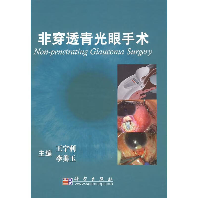 非穿透青光眼手术 王宁利,李美玉 著【书】